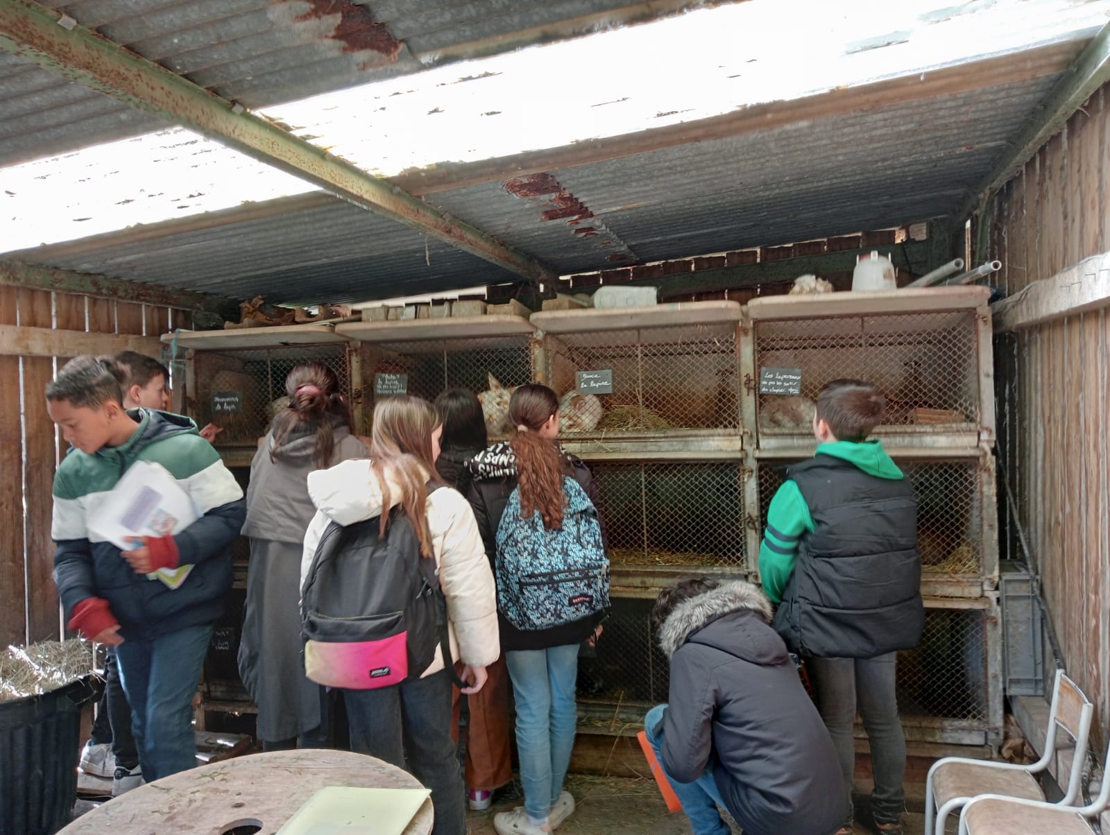 Une visite à la ferme ! - Saint Aubin La Salle