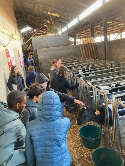 Une visite à la ferme ! - Saint Aubin La Salle